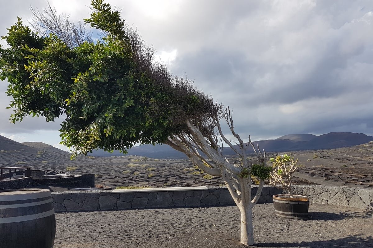 How to Deal With Heavy Items in Your Emotional Backpack – Crisis Crafts Man